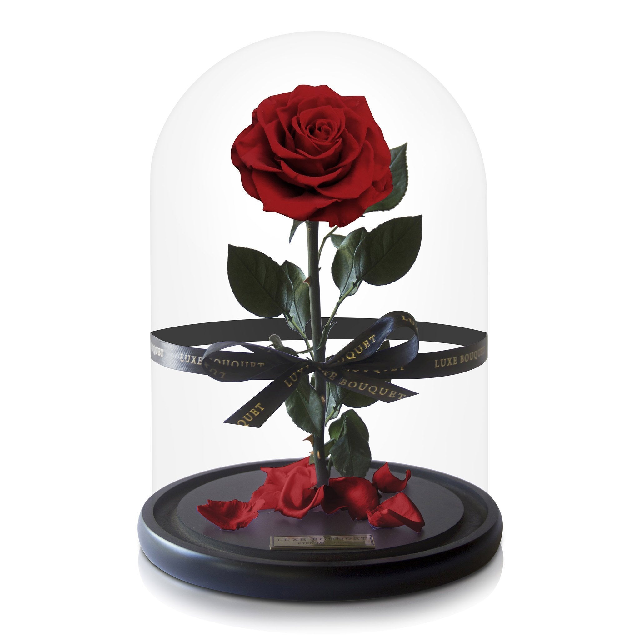 Everlasting Rose | The Enchanted Trove